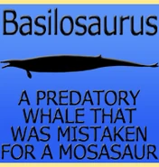 Basilosaurus | Dinopedia | Fandom