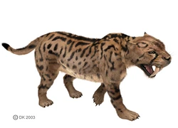 Eusmilus | Dinopedia | Fandom