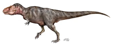 Tyrannosaurinae | Dinopedia | Fandom