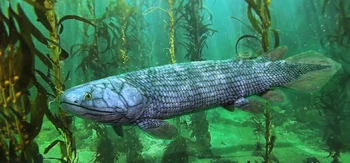 Gyroptychius | Dinopedia | Fandom