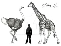 Pachystruthio | Dinopedia | Fandom