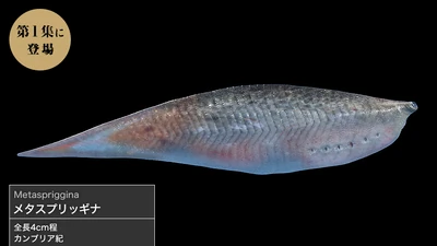 Discuss Everything About Dinopedia | Fandom