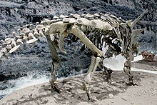 Animantarx | Dinopedia | Fandom