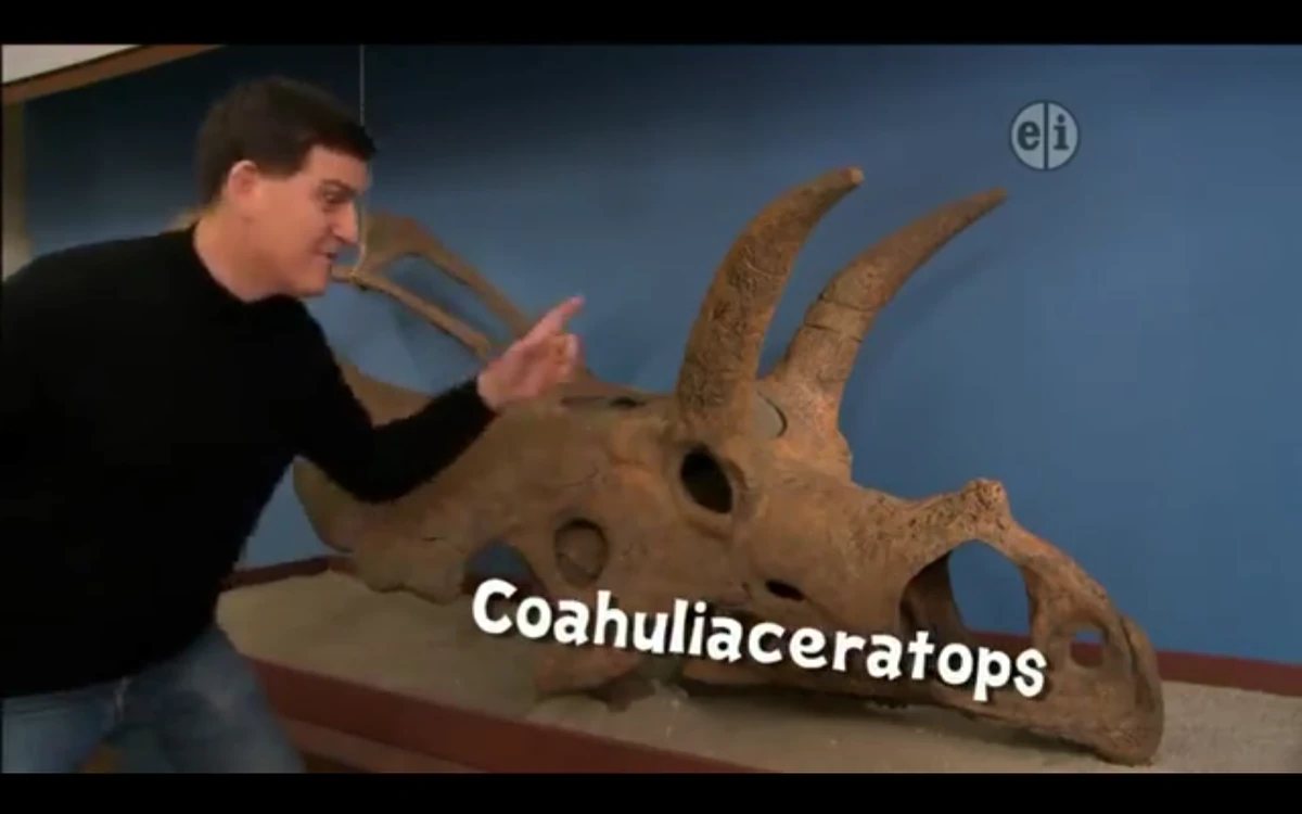 Coahuilaceratops | Dinopedia | Fandom