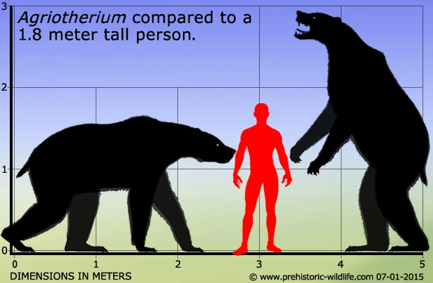 Agriotherium | Dinopedia | Fandom