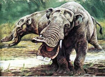 Archaeobelodon | Dinopedia | Fandom