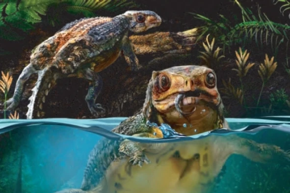 Discuss Everything About Dinopedia | Fandom