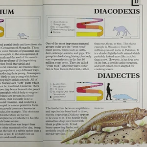 Discuss Everything About Dinopedia | Fandom