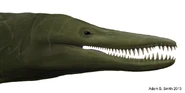 Pliosaurus | Dinopedia | Fandom