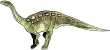 Plateosauridae | Dinopedia | Fandom