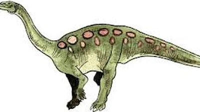 Discuss Everything About Dinopedia | Fandom