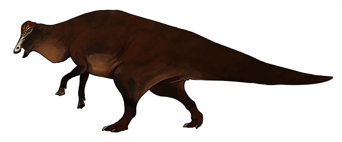 Hypacrosaurus | Dinopedia | Fandom