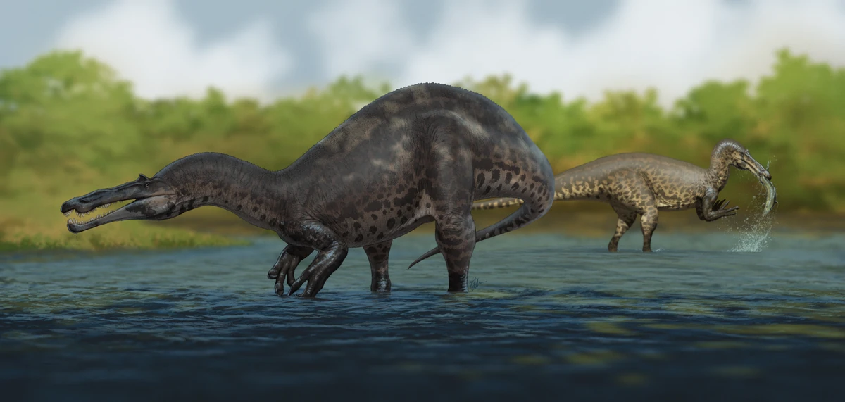 Suchomimus | Dinopedia | Fandom