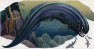 Dinichthys | Dinopedia | Fandom