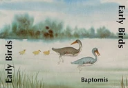 Baptornis | Dinopedia | Fandom