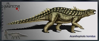 Acanthopholis | Dinopedia | Fandom