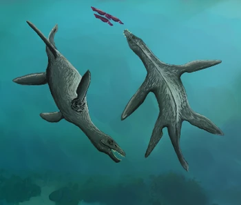 Acostasaurus | Dinopedia | Fandom