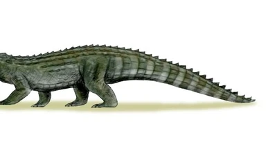 Discuss Everything About Dinopedia | Fandom