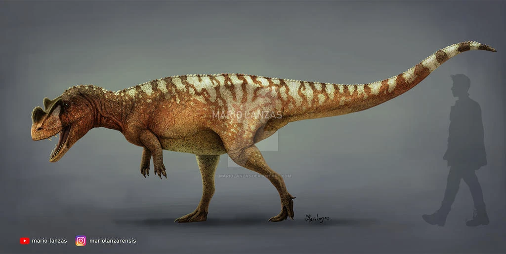 Ceratosaurus Size