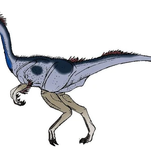 Discuss Everything About Dinopedia | Fandom