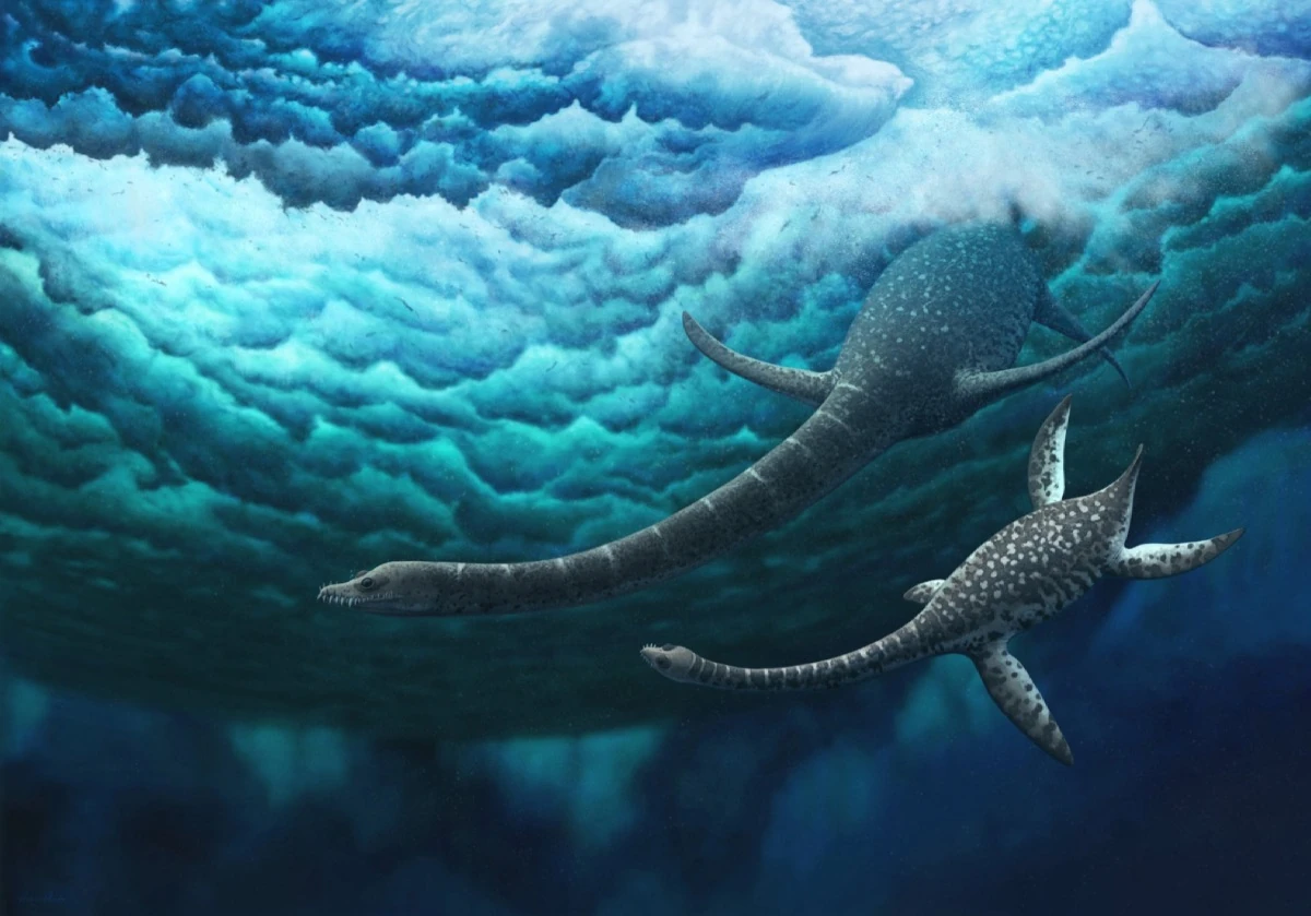 Jucha | Dinopedia | Fandom