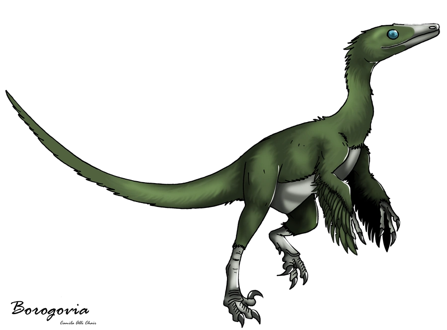 Borogovia | Dinopedia | Fandom