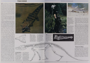 Protosuchus | Dinopedia | Fandom