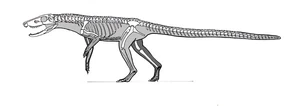 Dromicosuchus | Dinopedia | Fandom