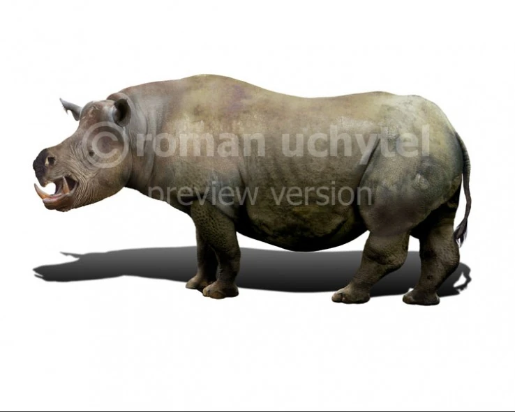 Chilotherium | Dinopedia | Fandom