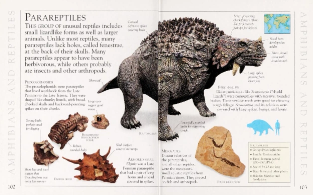 Elginia | Dinopedia | Fandom