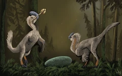 Eoneophron | Dinopedia | Fandom