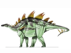Loricatosaurus | Dinopedia | Fandom