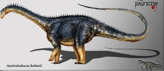 Australodocus | Dinopedia | Fandom