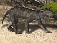 Lycaenops | Dinopedia | Fandom