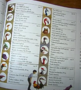 Rativates | Dinopedia | Fandom