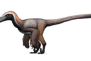 xenotarsosaurus coloring page