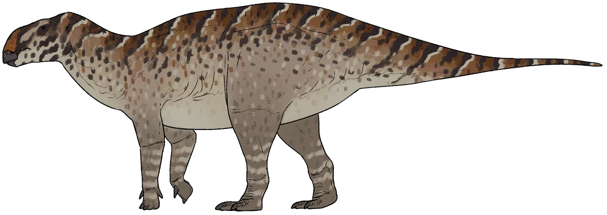 Qianjiangsaurus | Dinopedia | Fandom