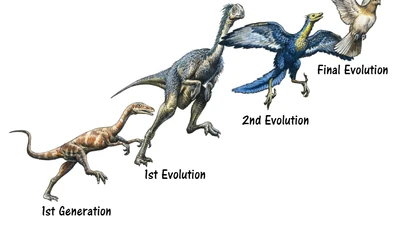 Dinosaur Evolution Chart