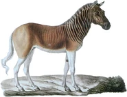 Quagga | Dinopedia | Fandom