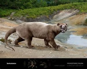 Creodonta | Dinopedia | Fandom