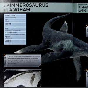 Discuss Everything About Dinopedia | Fandom