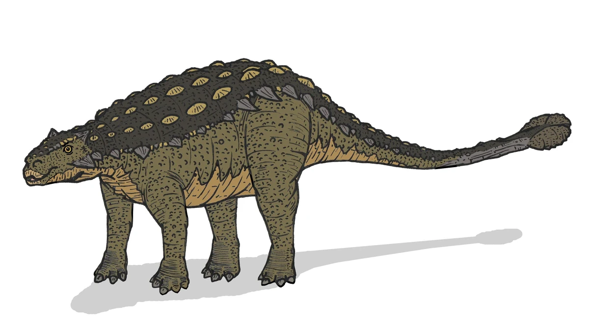 Tarchia | Dinopedia | Fandom