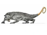 Ptilodus | Dinopedia | Fandom