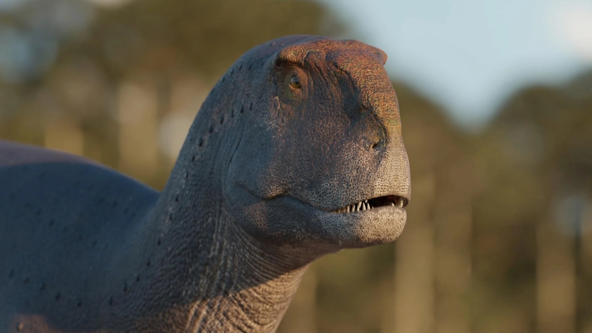 Discuss Everything About Dinopedia | Fandom