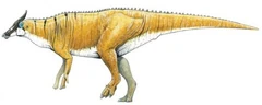 Augustynolophus | Dinopedia | Fandom