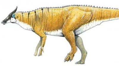 Discuss Everything About Dinopedia | Fandom