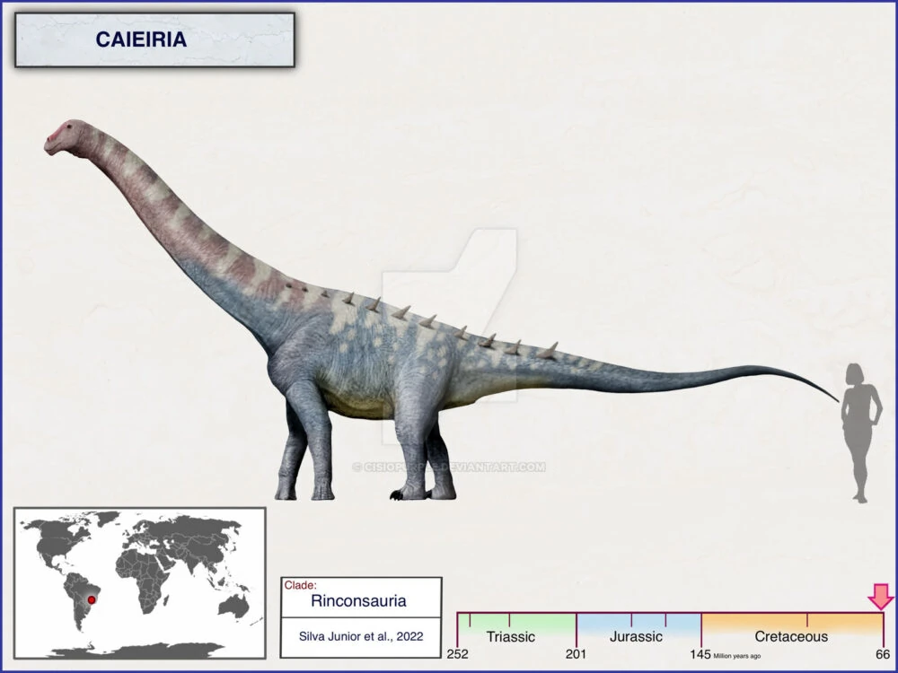 Caieiria | Dinopedia | Fandom