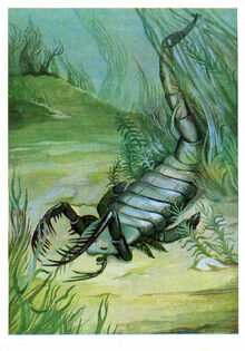 Eurypterida | Dinopedia | Fandom