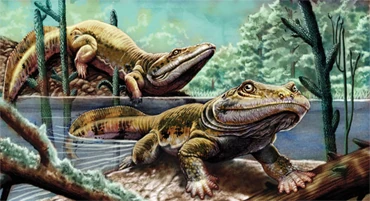 Ichthyostega | Dinopedia | Fandom