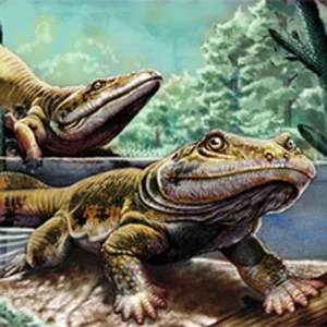 Discuss Everything About Dinopedia | Fandom